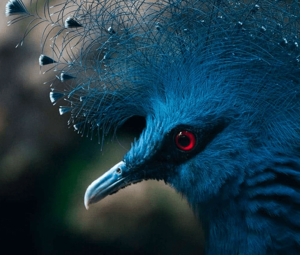 Carerix on Tour - Carerix Recruitmentsoftware